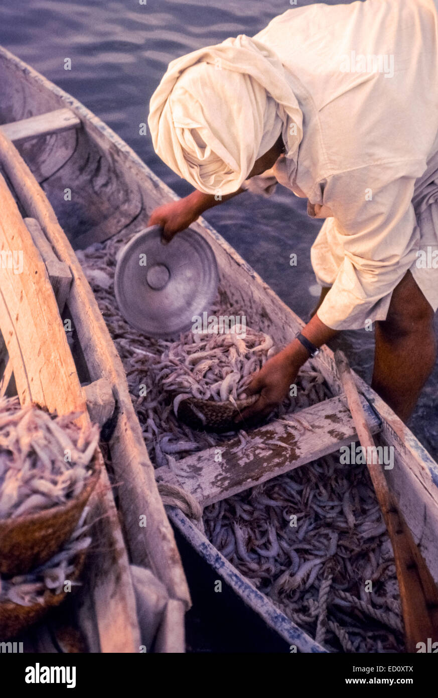 Boat_load hi-res stock photography and images - Alamy
