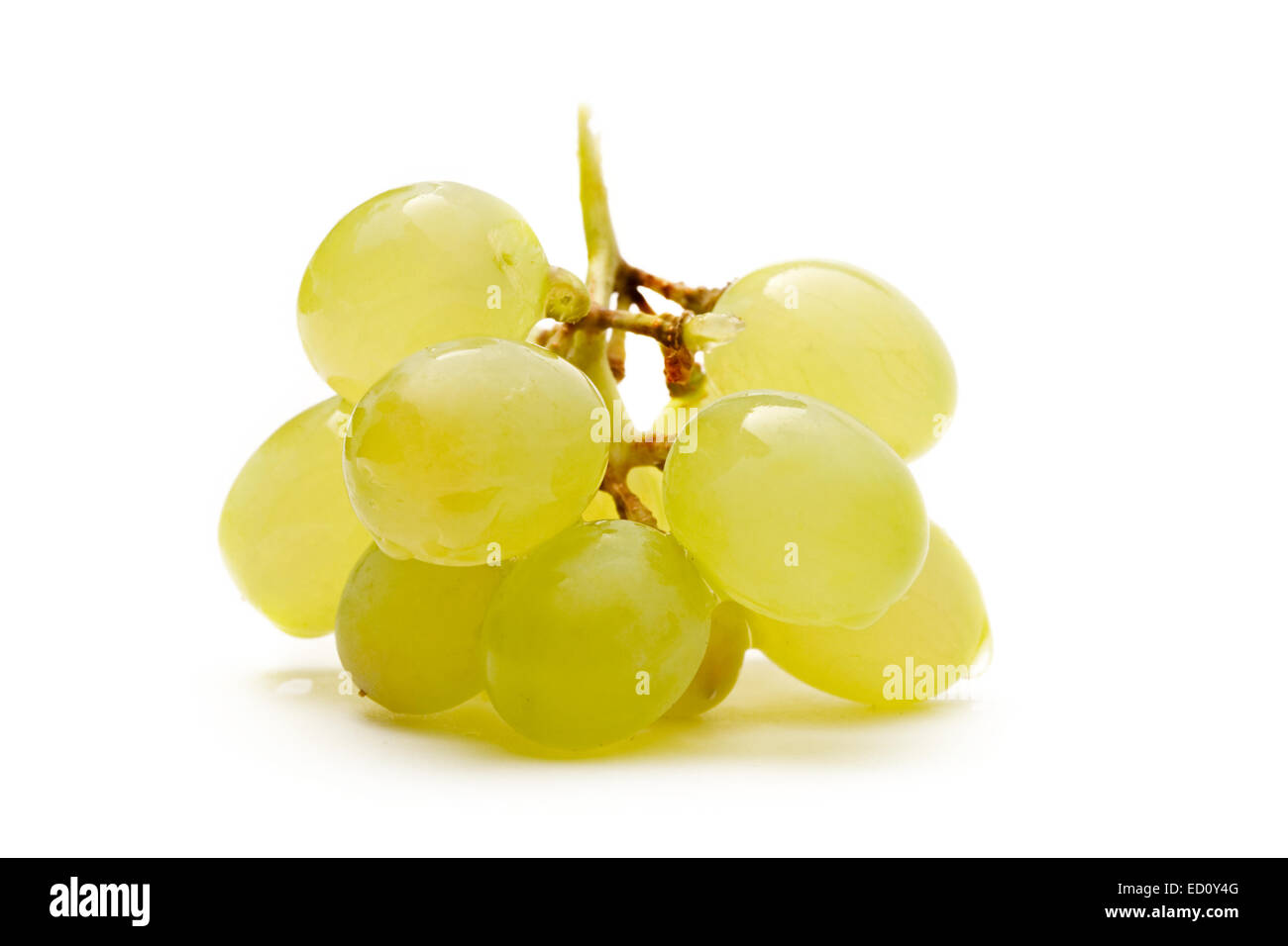 Single Fruits Pictures Grapes