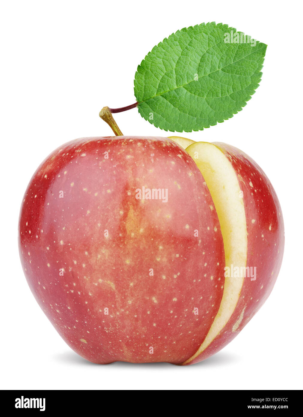 Red Apple Fruit Slice