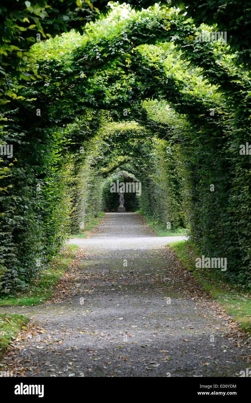 Hornbeam cloisters birr castle gardens gardening shape shaped hedge ...