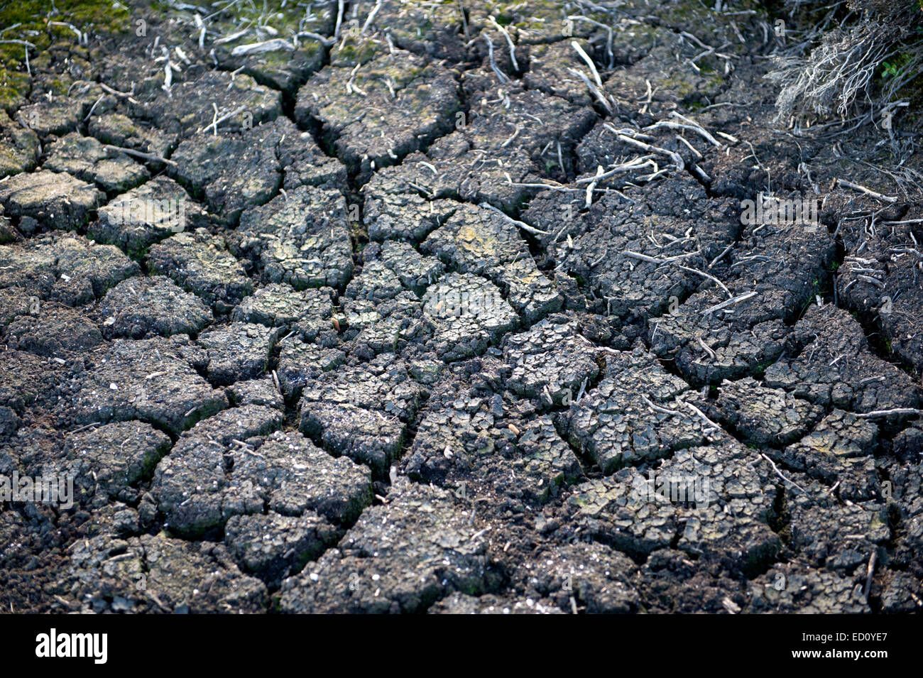 parched and dried up peat on a remote estate in Scotland Stock Photo ...