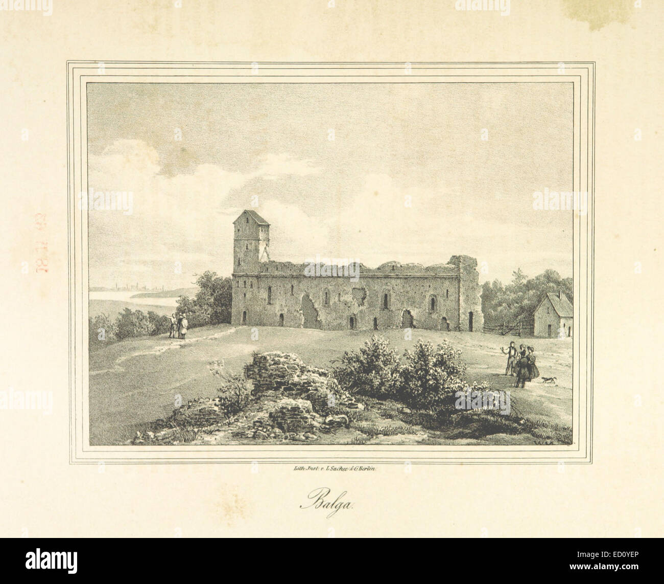 Balga hi-res stock photography and images - Alamy