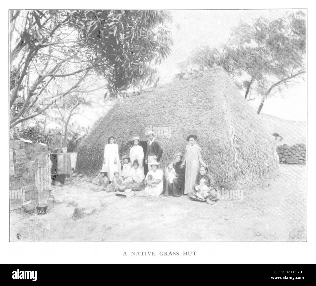 HAWAII (1898) depicts a native grass hut, showcasing traditional ...