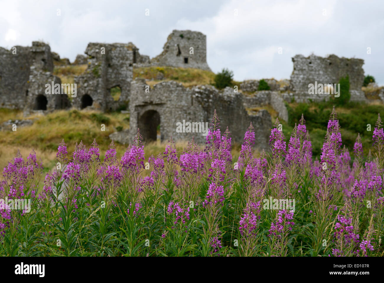 rock of dunamase castle fort fortress laois leinster medieval dun masc ...