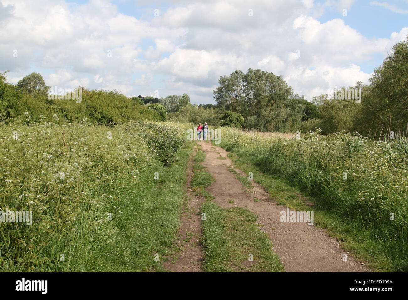 Suffolk england countryside dedham hi-res stock photography and images ...