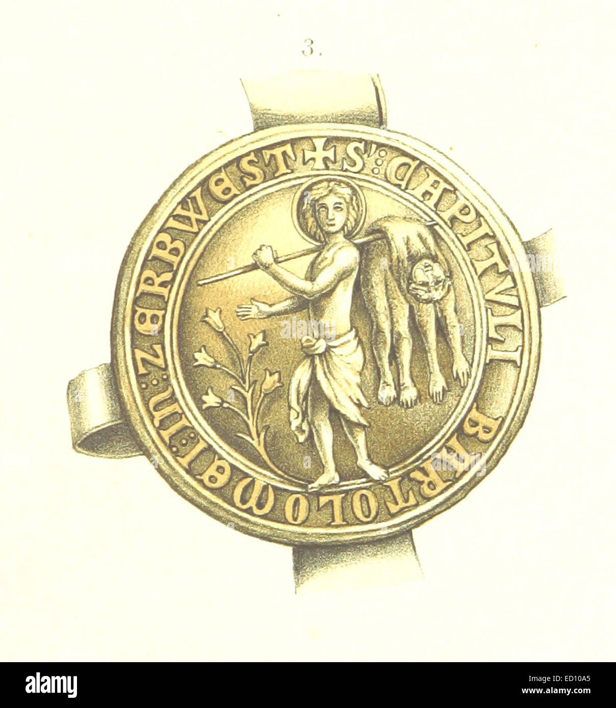 Plate VI - 3 from Heinemann's CDA3 series Stock Photo - Alamy