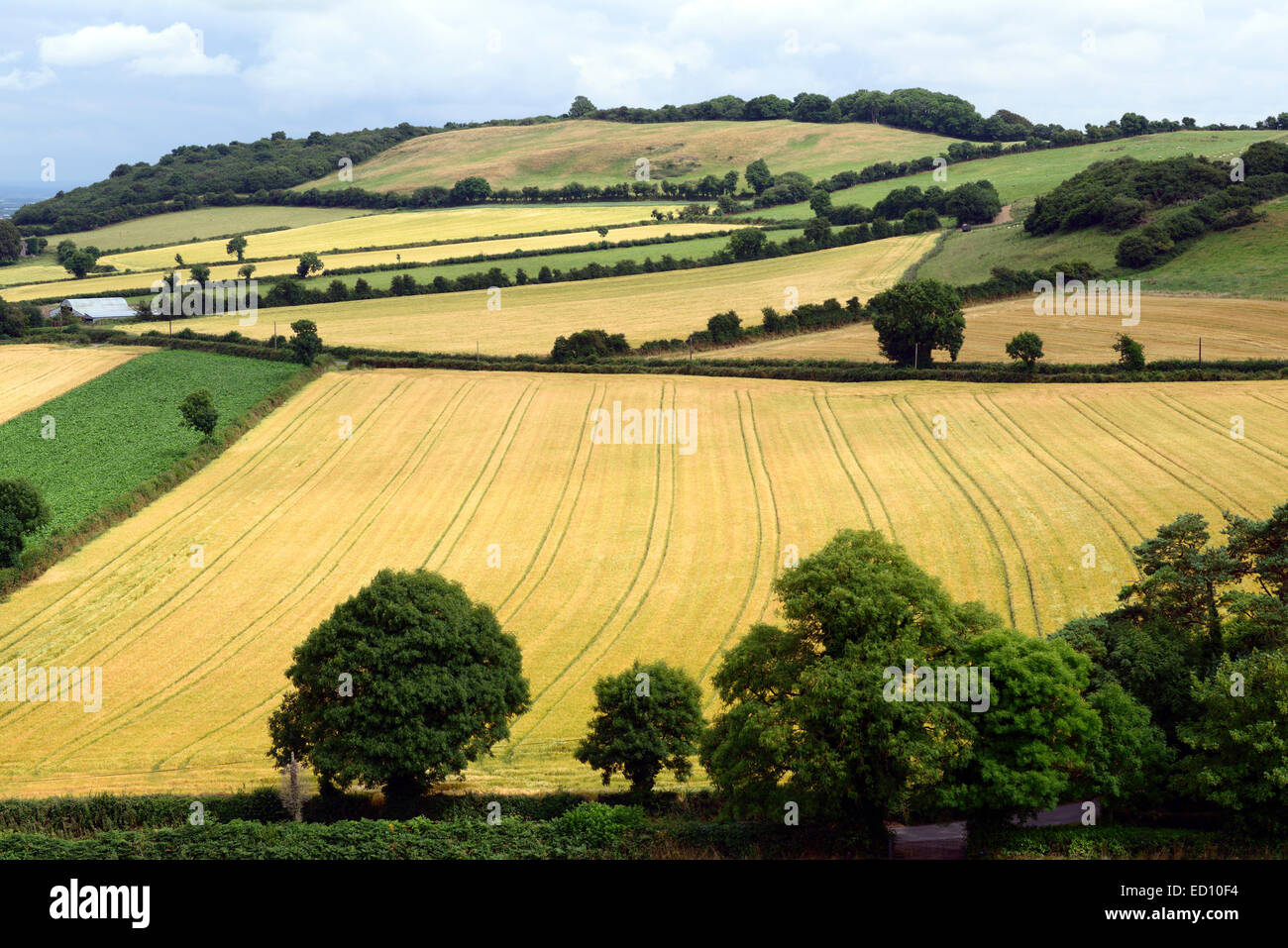 Laois countryside wheat field harvested summer ireland view from rock ...