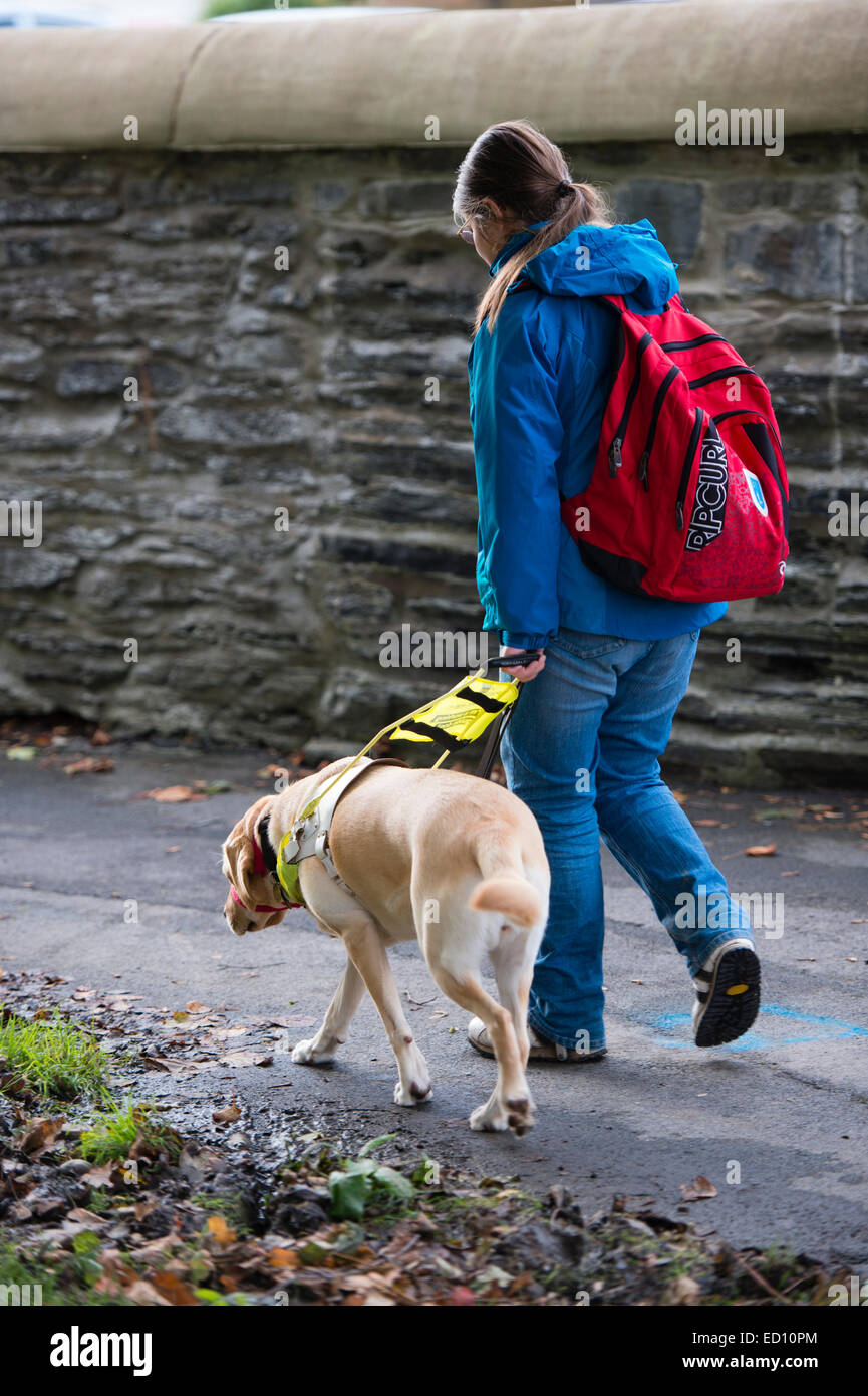 A young woman, vision sight impaired , walking with her guide dog ...