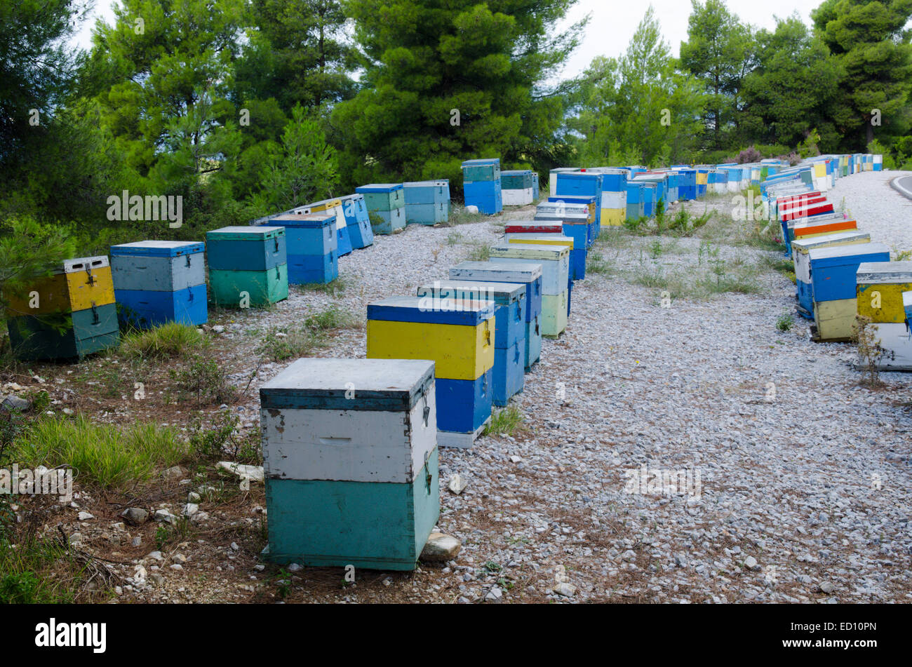 Beehives along the road from Elios to the mountain of Dhelphi, Skopelos ...