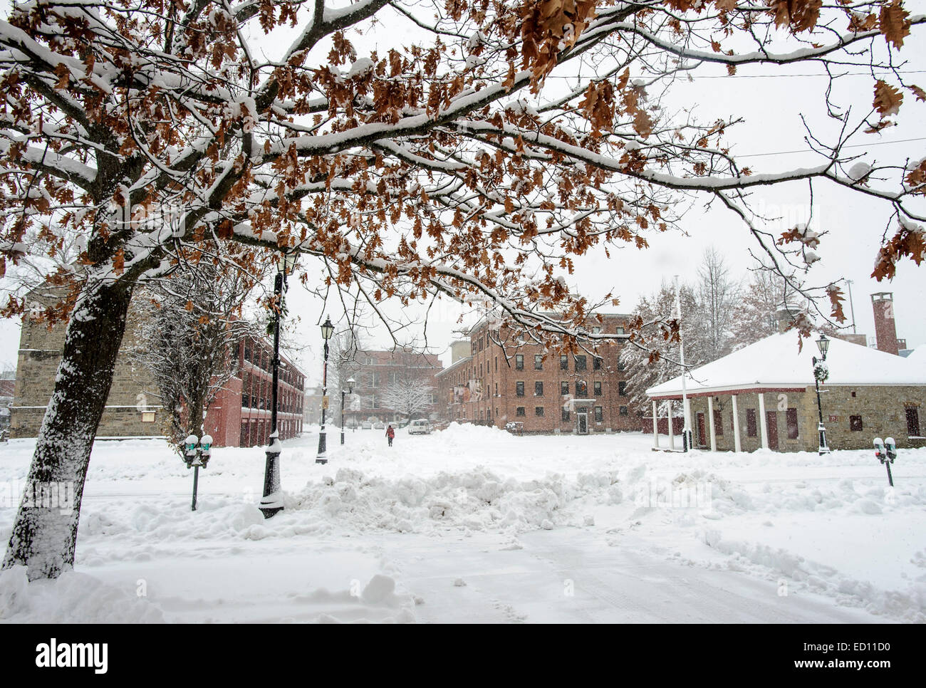 Fredericton snow storm hi-res stock photography and images - Alamy