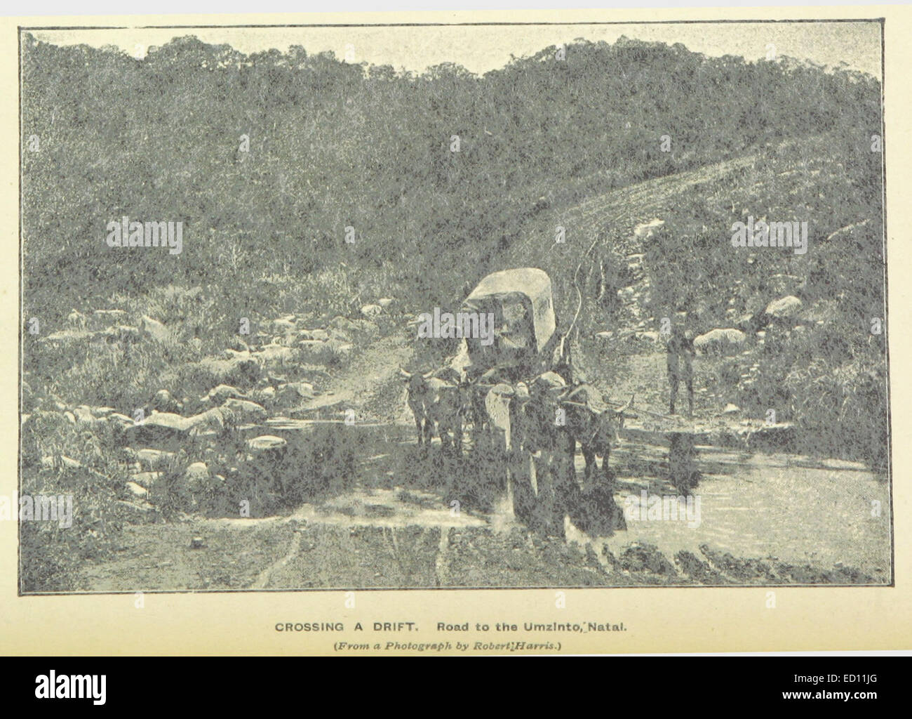 Umzinto hi-res stock photography and images - Alamy