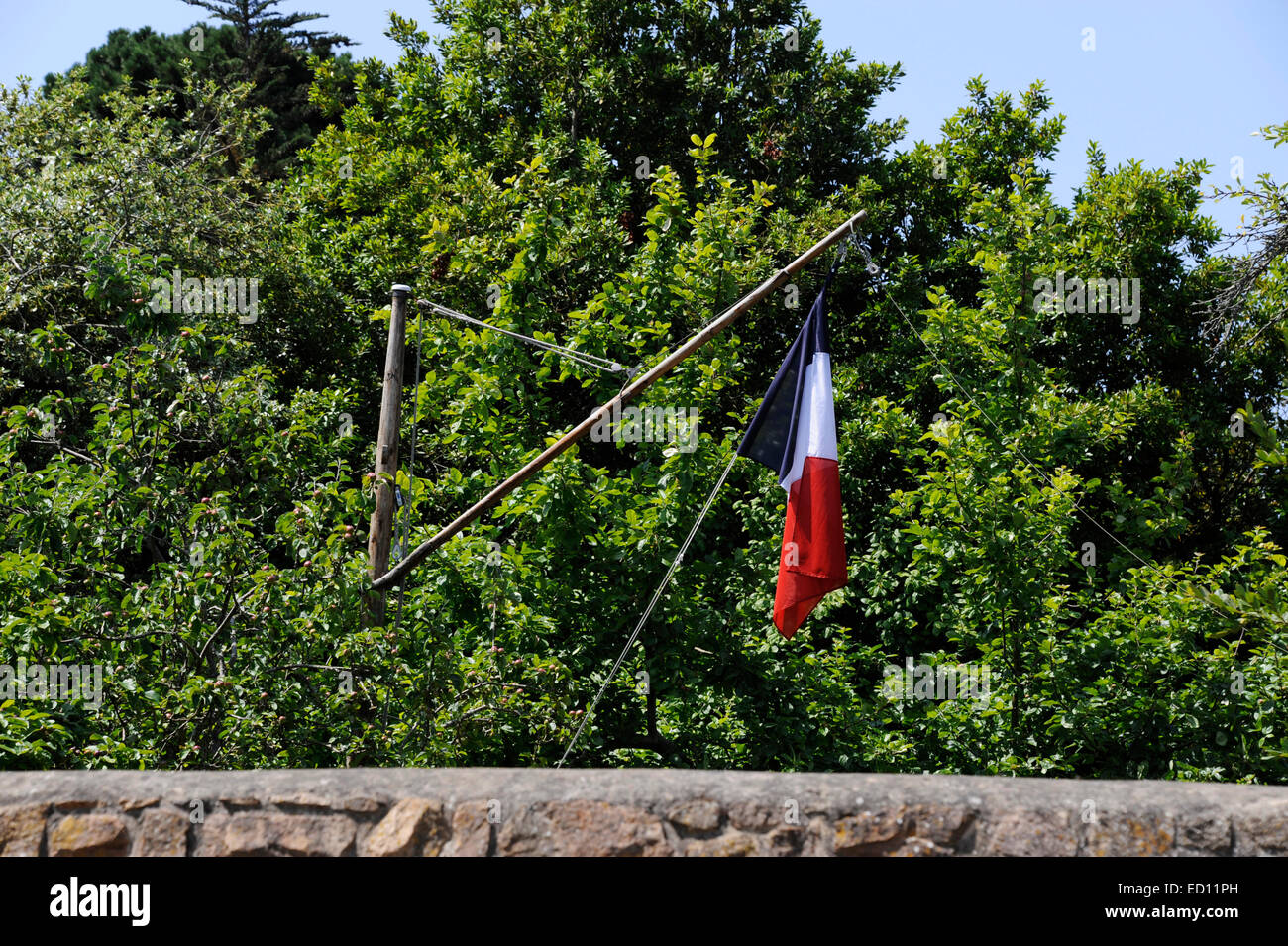 Ile de Brehat,French flag in tree, Cotes-d'Armor, Bretagne, France ...