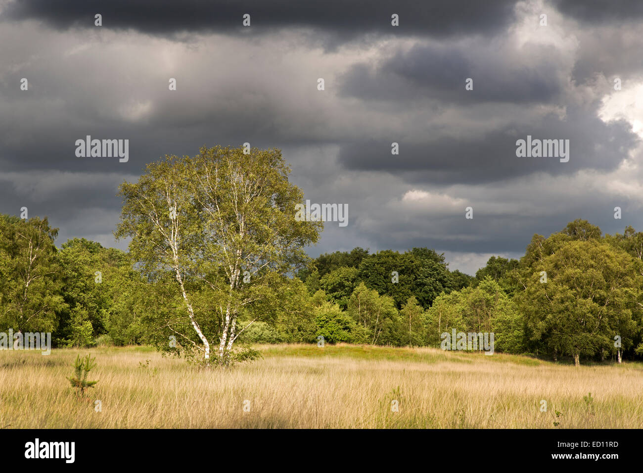 Stormy atmosphere hi-res stock photography and images - Alamy