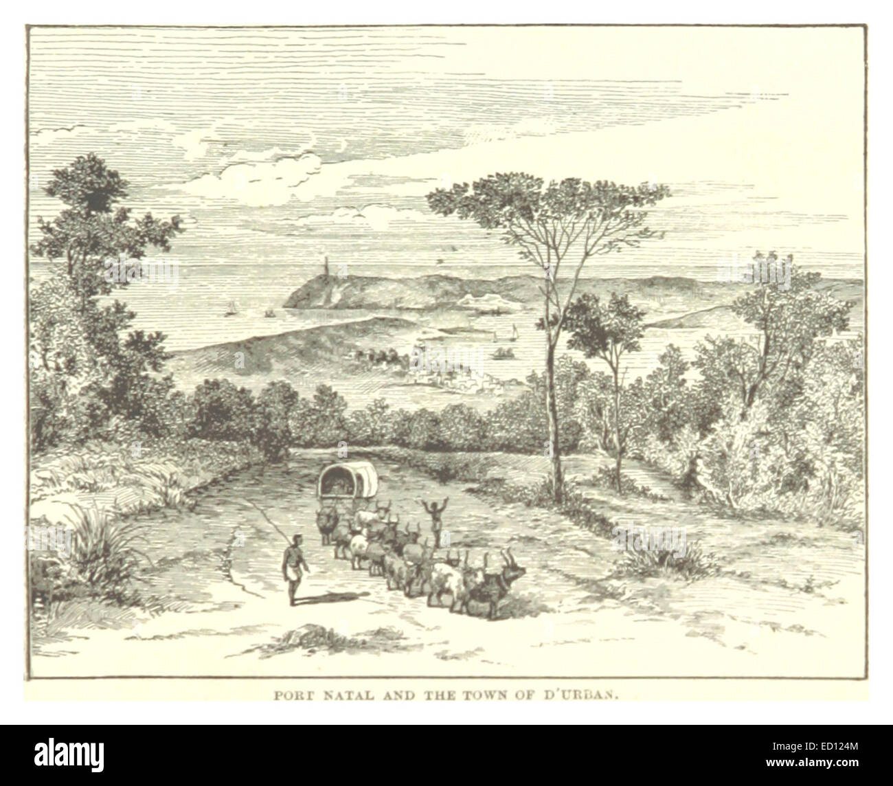 1800s south africa map hi-res stock photography and images - Alamy