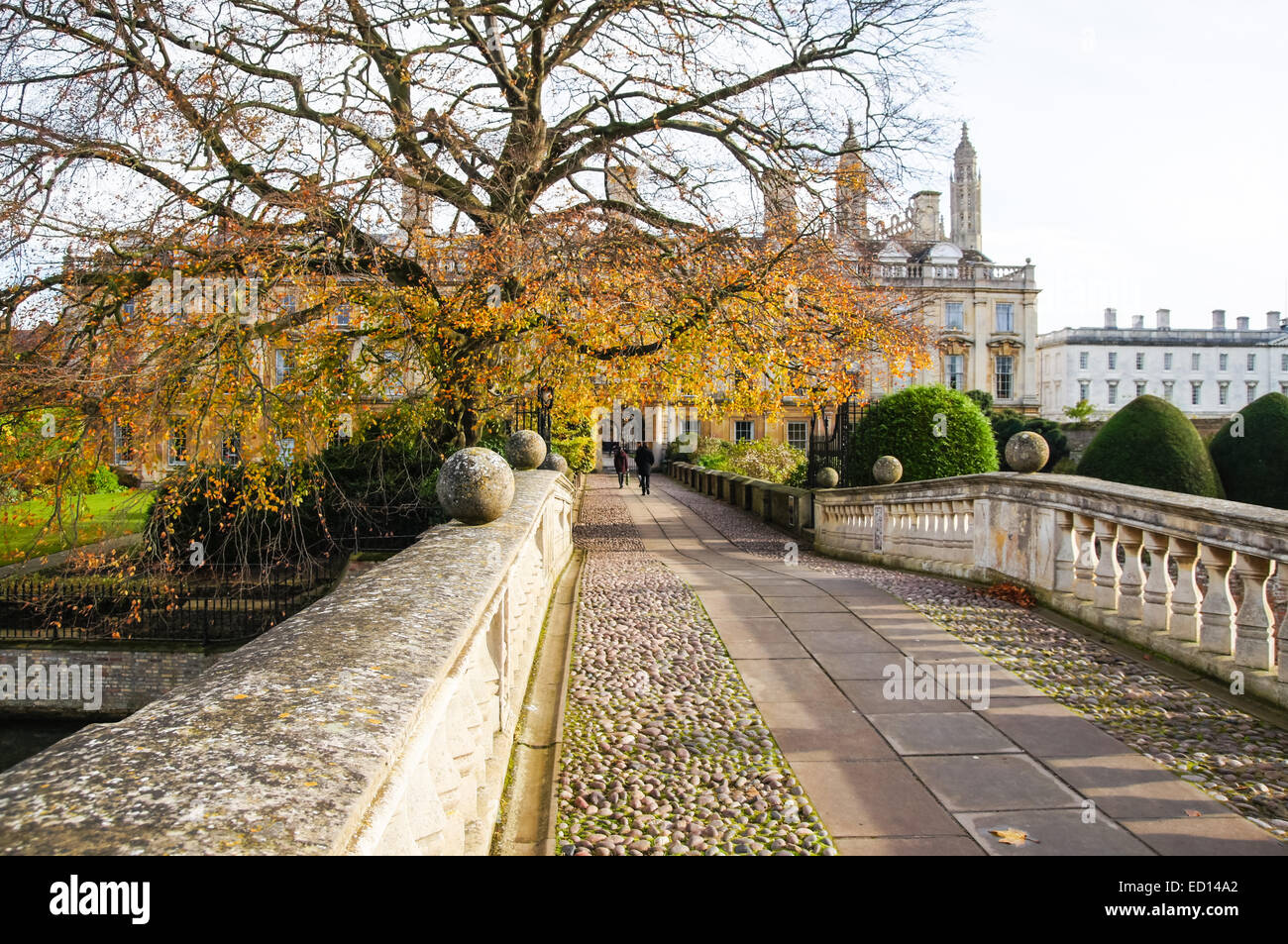 Cambridge autumn hi-res stock photography and images - Alamy