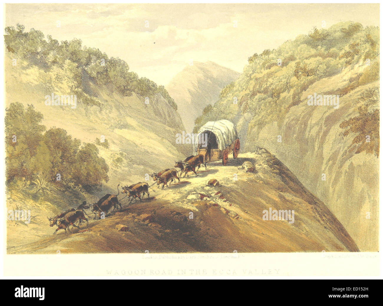 An 1861 illustration from Lucas’ work showing a wagon road in the Ecca ...