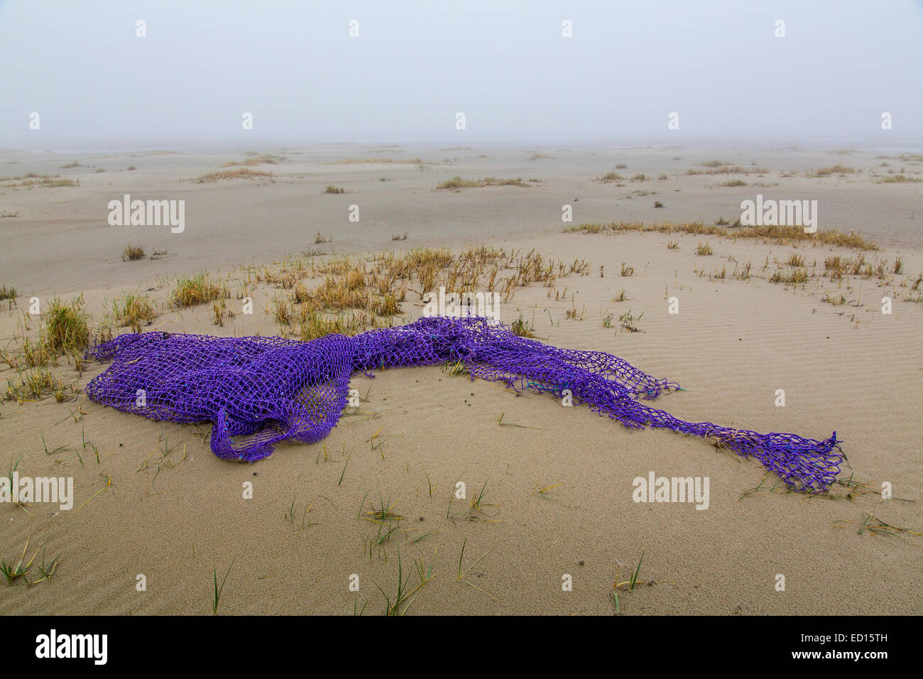 Beach, beachcomber, net, was washed ashore by the waves Stock Photo - Alamy