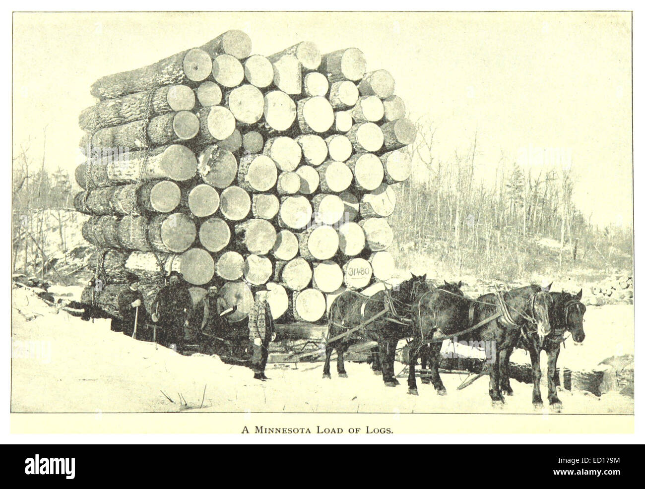 This 1893 illustration shows a Minnesota load of logs, reflecting the ...