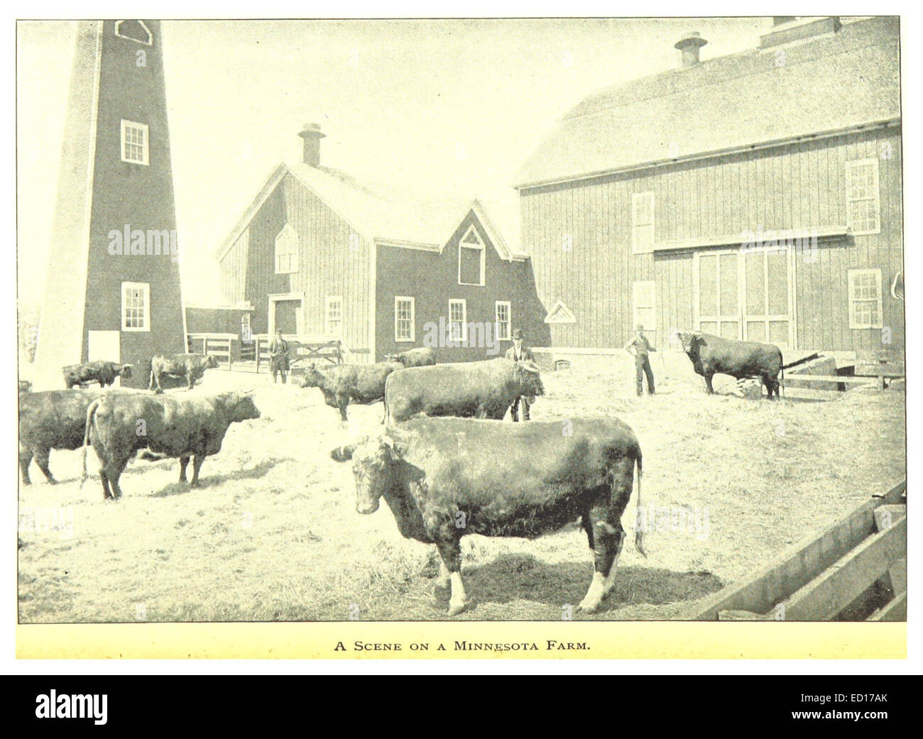 This 1893 illustration captures a scene on a Minnesota farm, providing ...