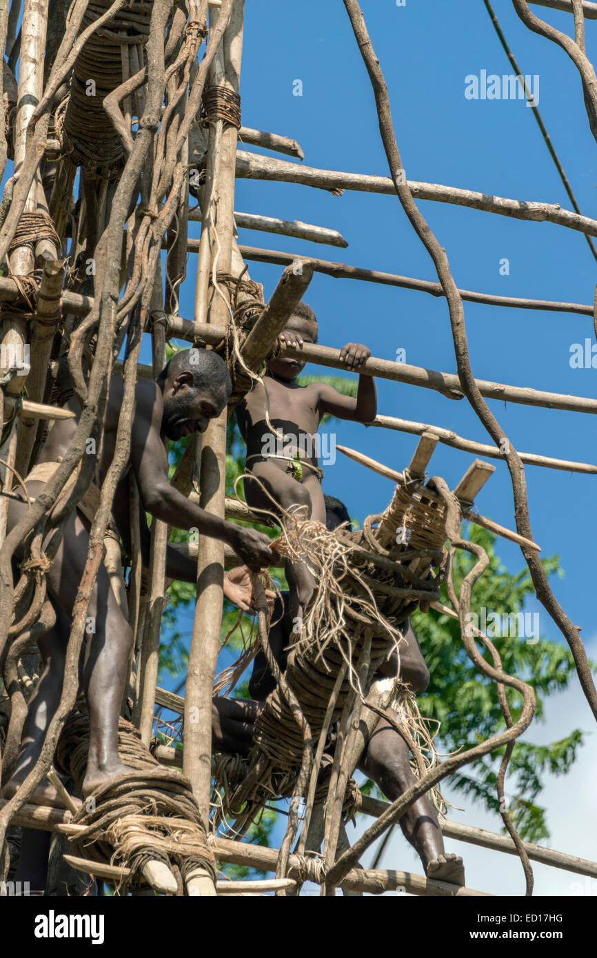 Land diving platform hi-res stock photography and images - Alamy