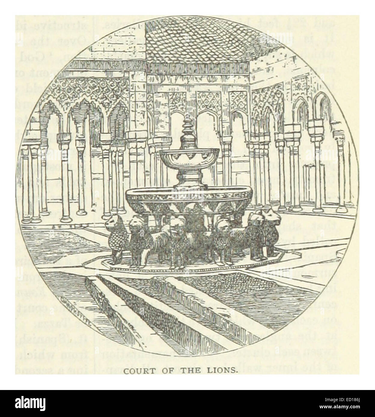 Court of lions Cut Out Stock Images & Pictures - Alamy