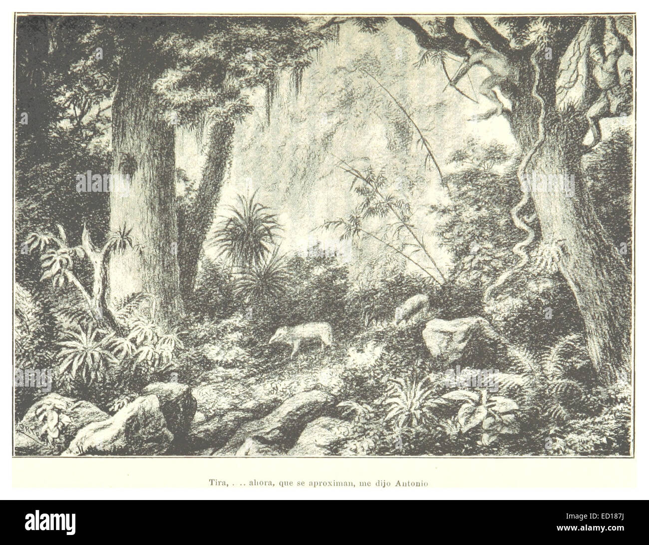 Page 93 of OC Bolivia’s 1891 publication likely contains a visual ...