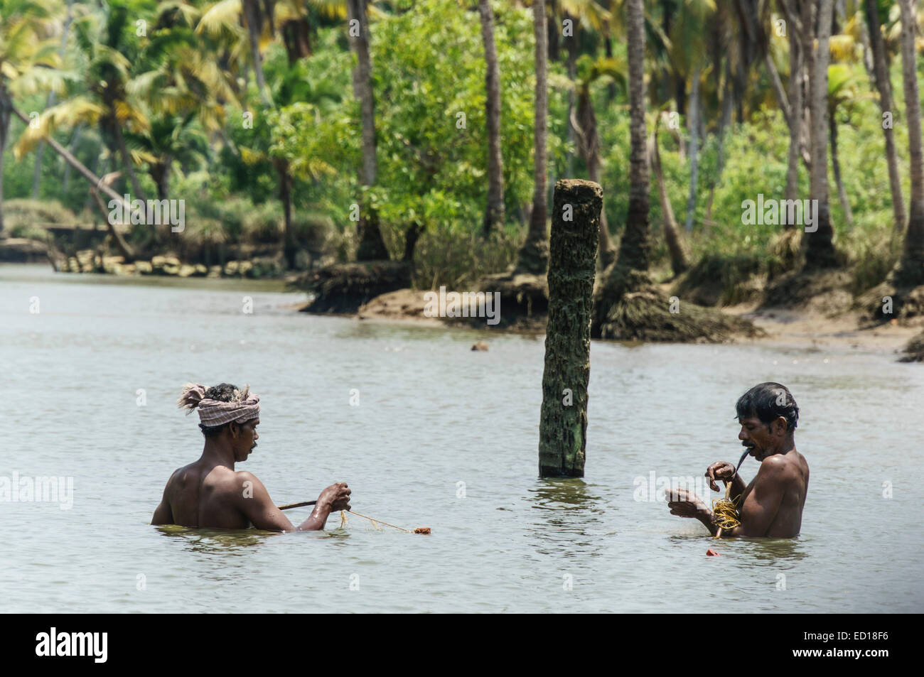 Kerala, India - Poovar. Mangrove swamp fishing at Poover Beach South ...