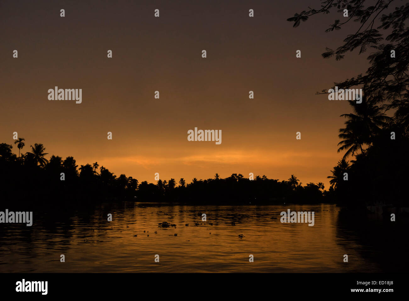 Kerala, India - Pamba River sunset Stock Photo - Alamy
