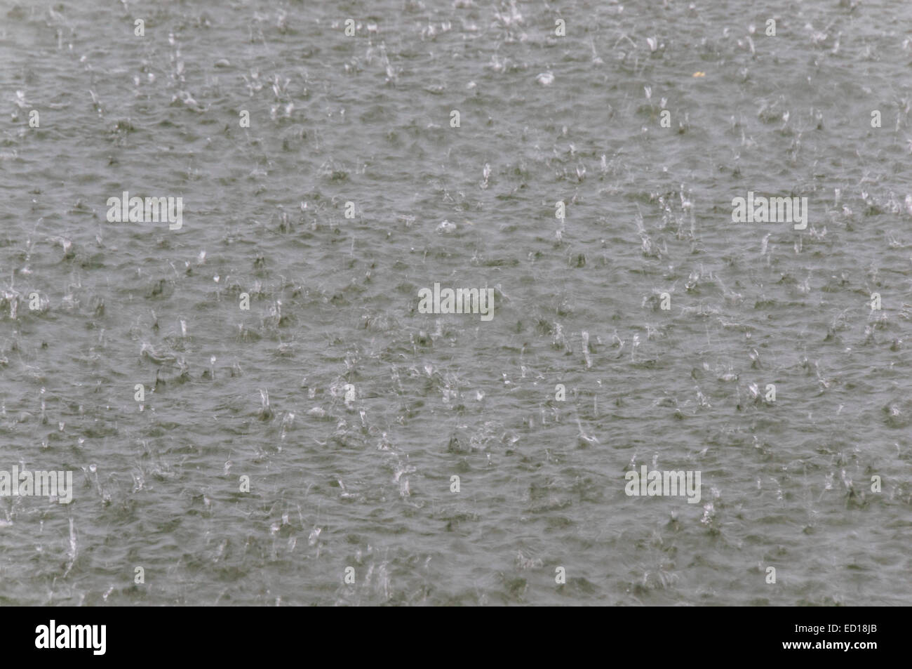 Rainy season kerala hi-res stock photography and images - Alamy