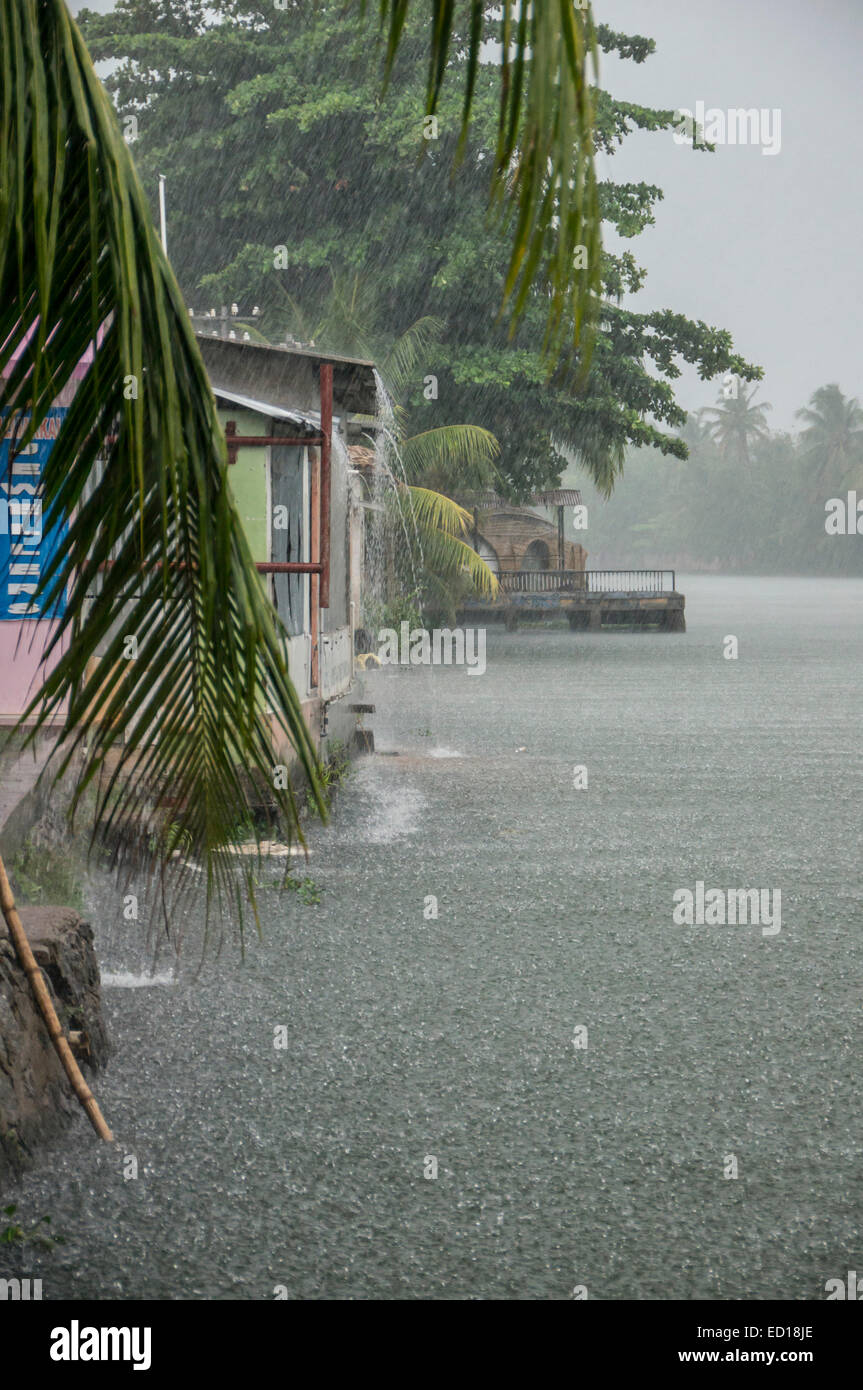 Kerala, India - monsoon rain on the Pamba river Stock Photo - Alamy