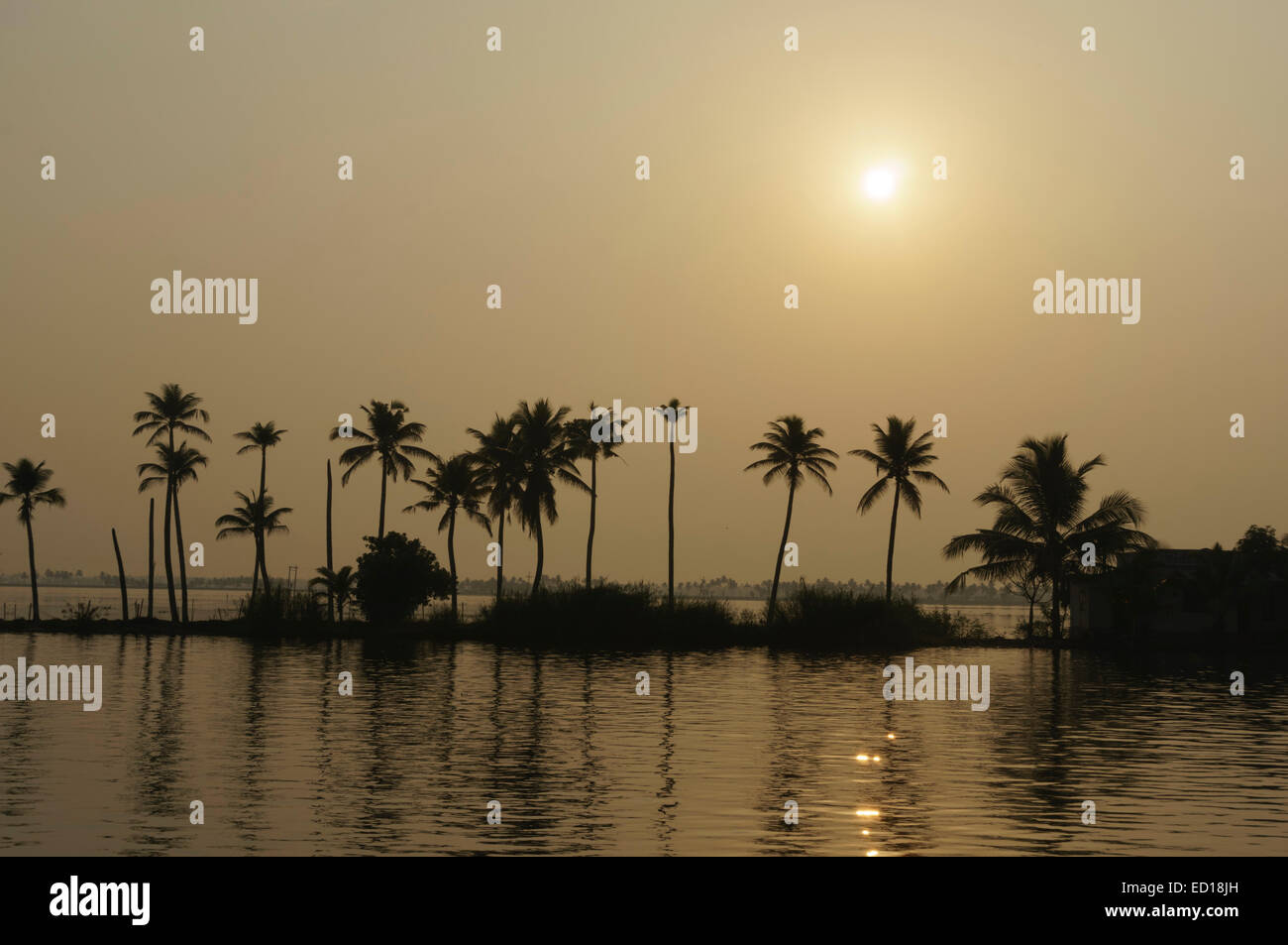 Kerala, India - Pamba River sunset Stock Photo - Alamy