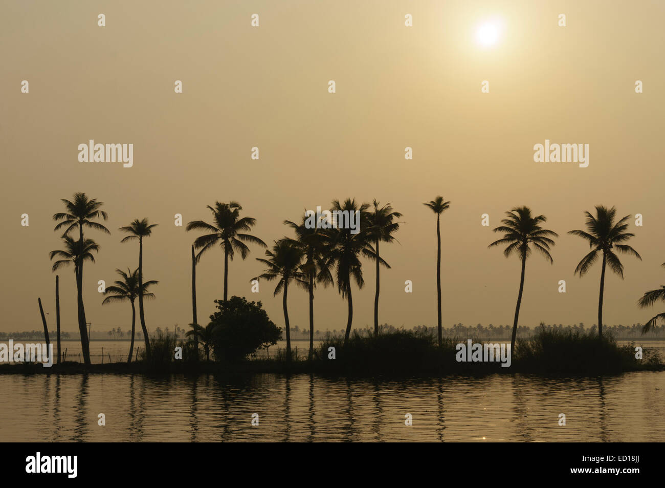 Kerala, India - Pamba River sunset Stock Photo - Alamy