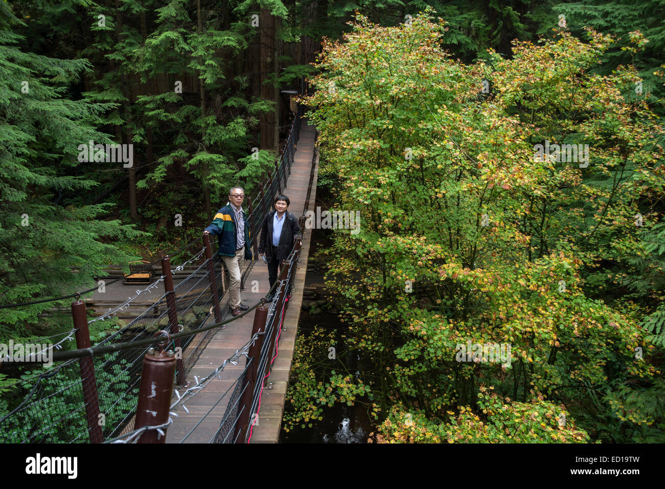 Suspension and park leaves hi-res stock photography and images - Alamy