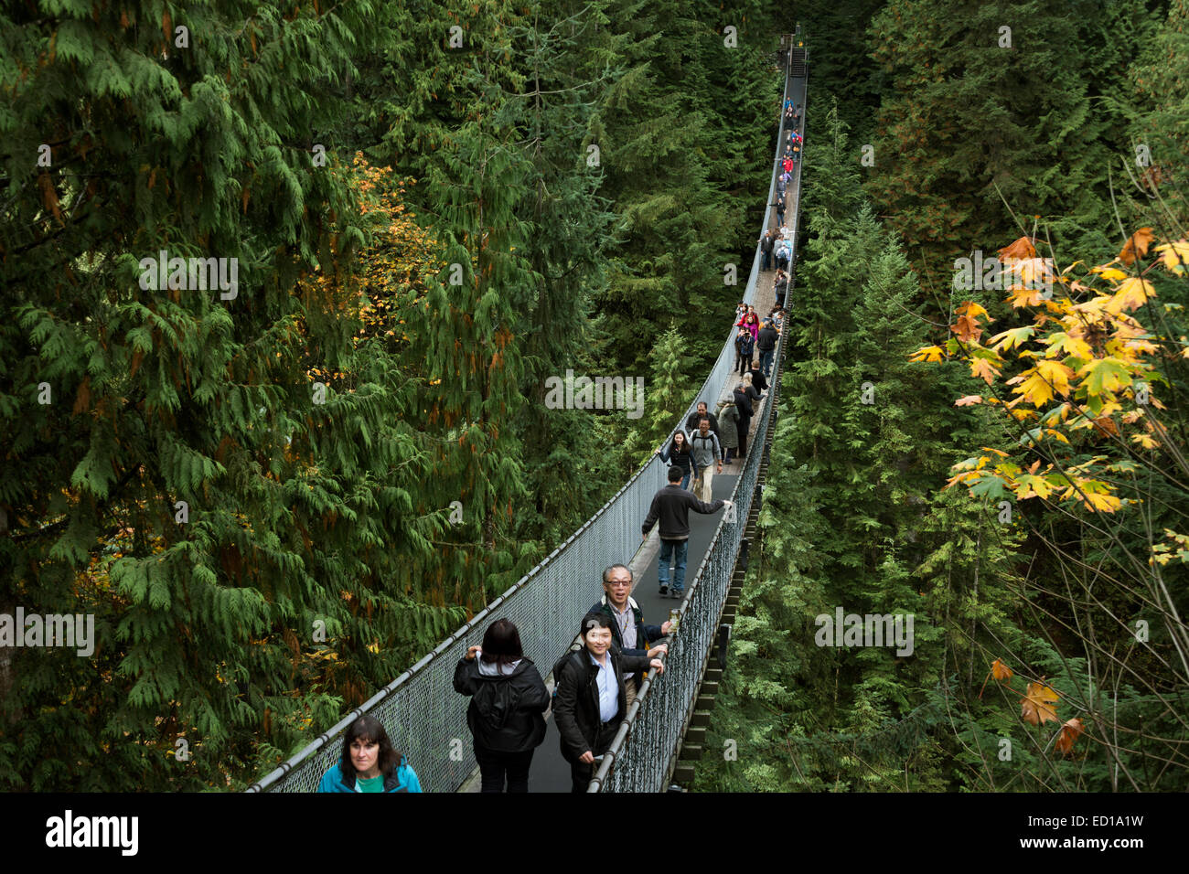 Capilano suspension bridge park north vancouver british columbia canada ...
