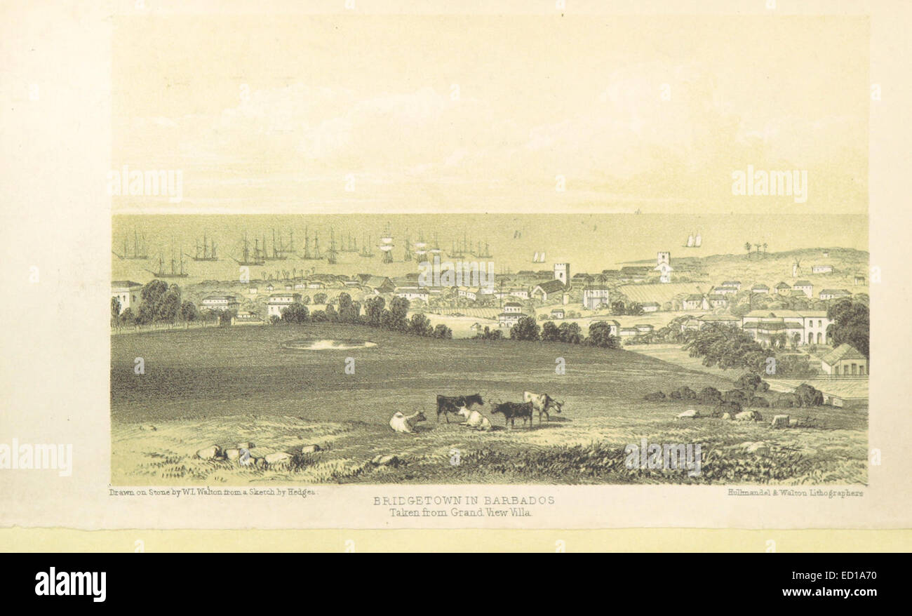 A 19th-century illustration of Bridgetown, the capital of Barbados ...
