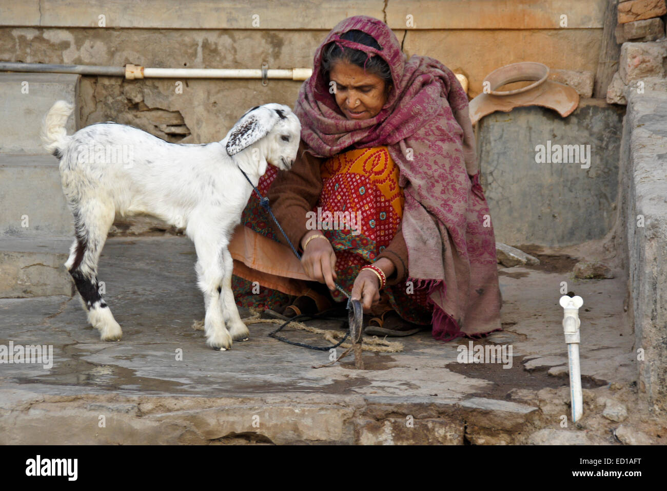 Woman and goat hi-res stock photography and images - Alamy