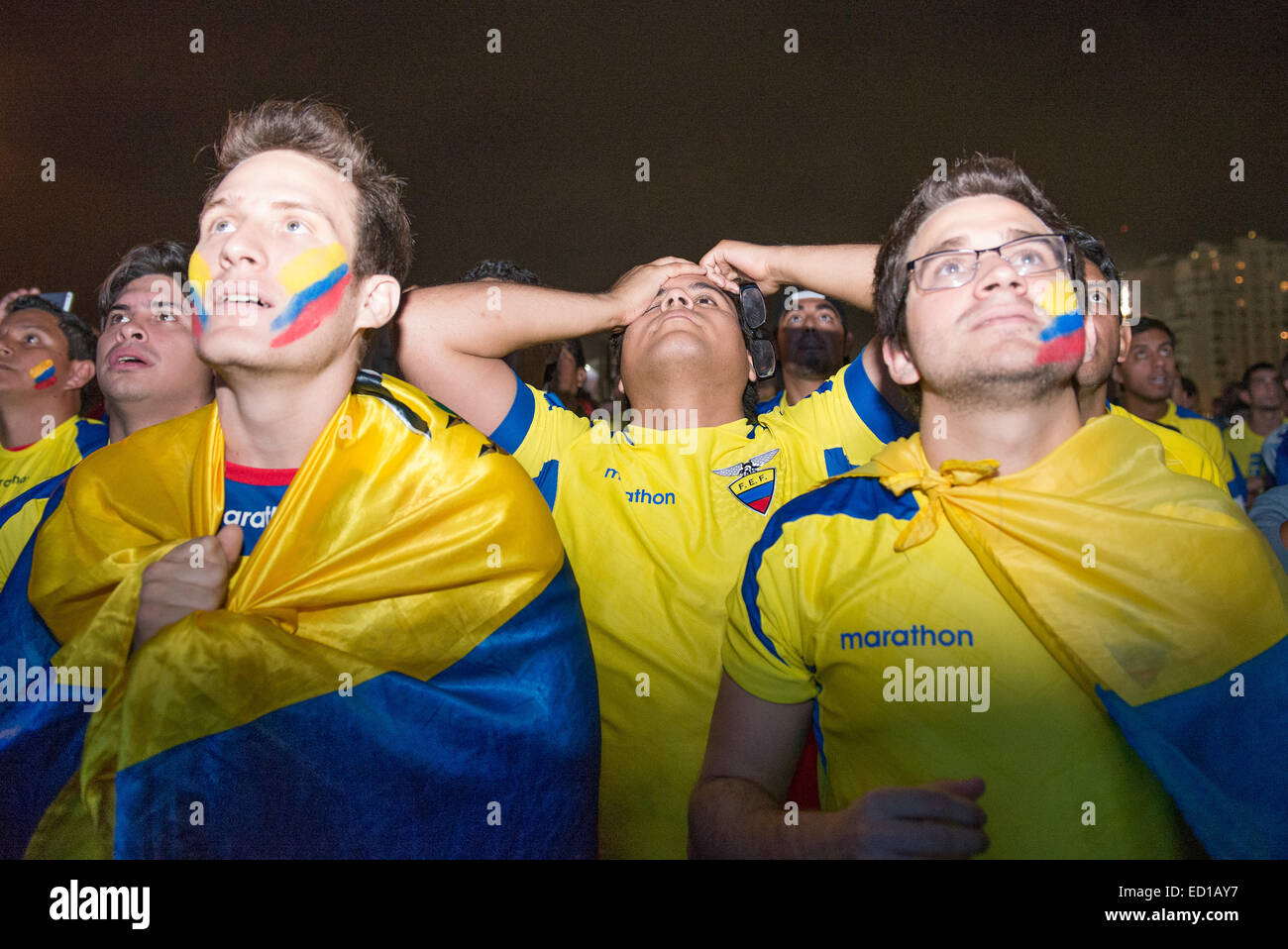 Fans at FIFA Fan Fest Rio de Janeiro watch the televised Group E match ...