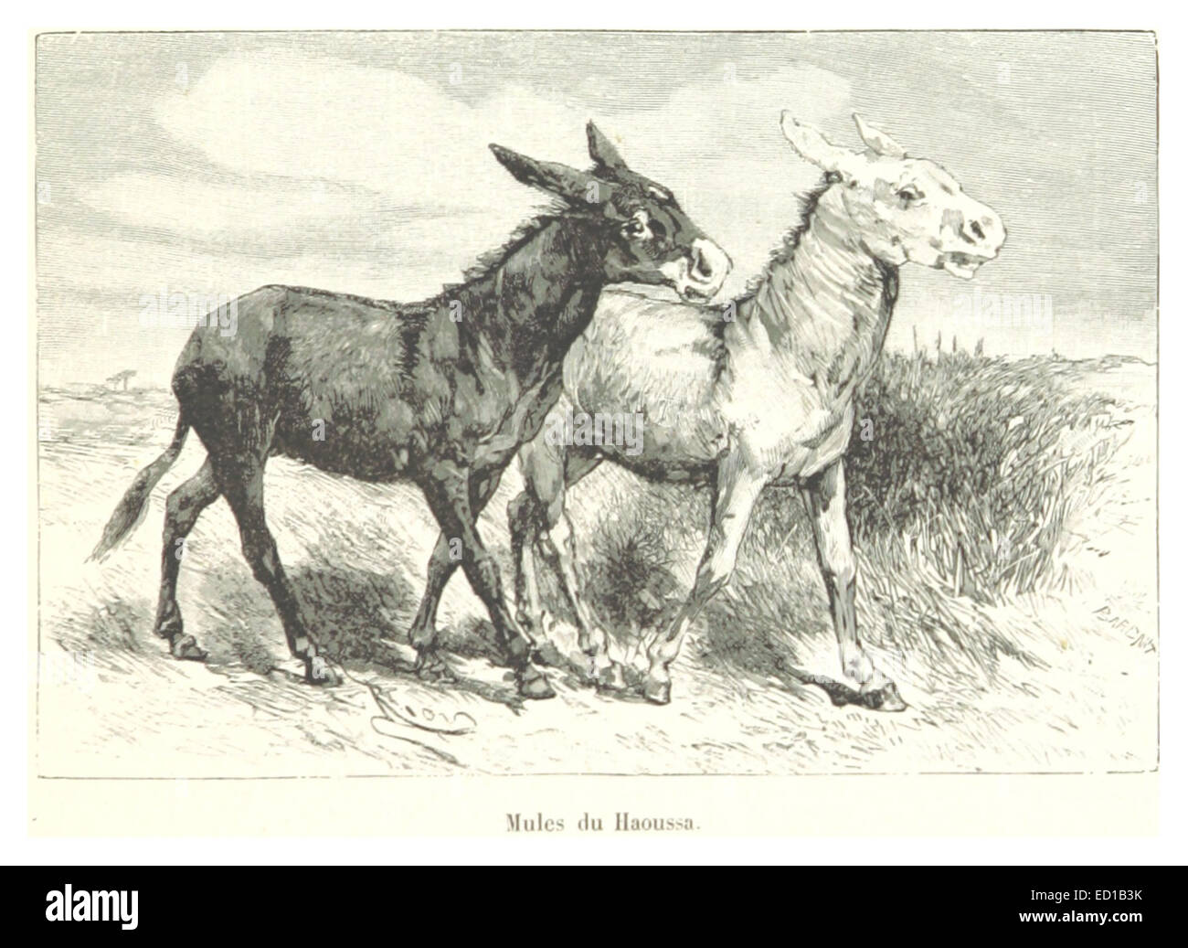 This reference on page 121 is likely an illustration or description of ...