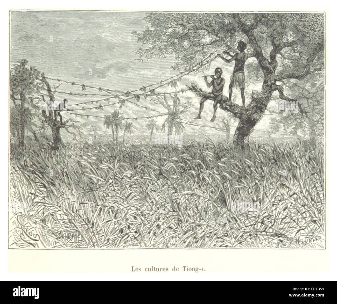 An illustration from a 19th-century text depicting agricultural ...