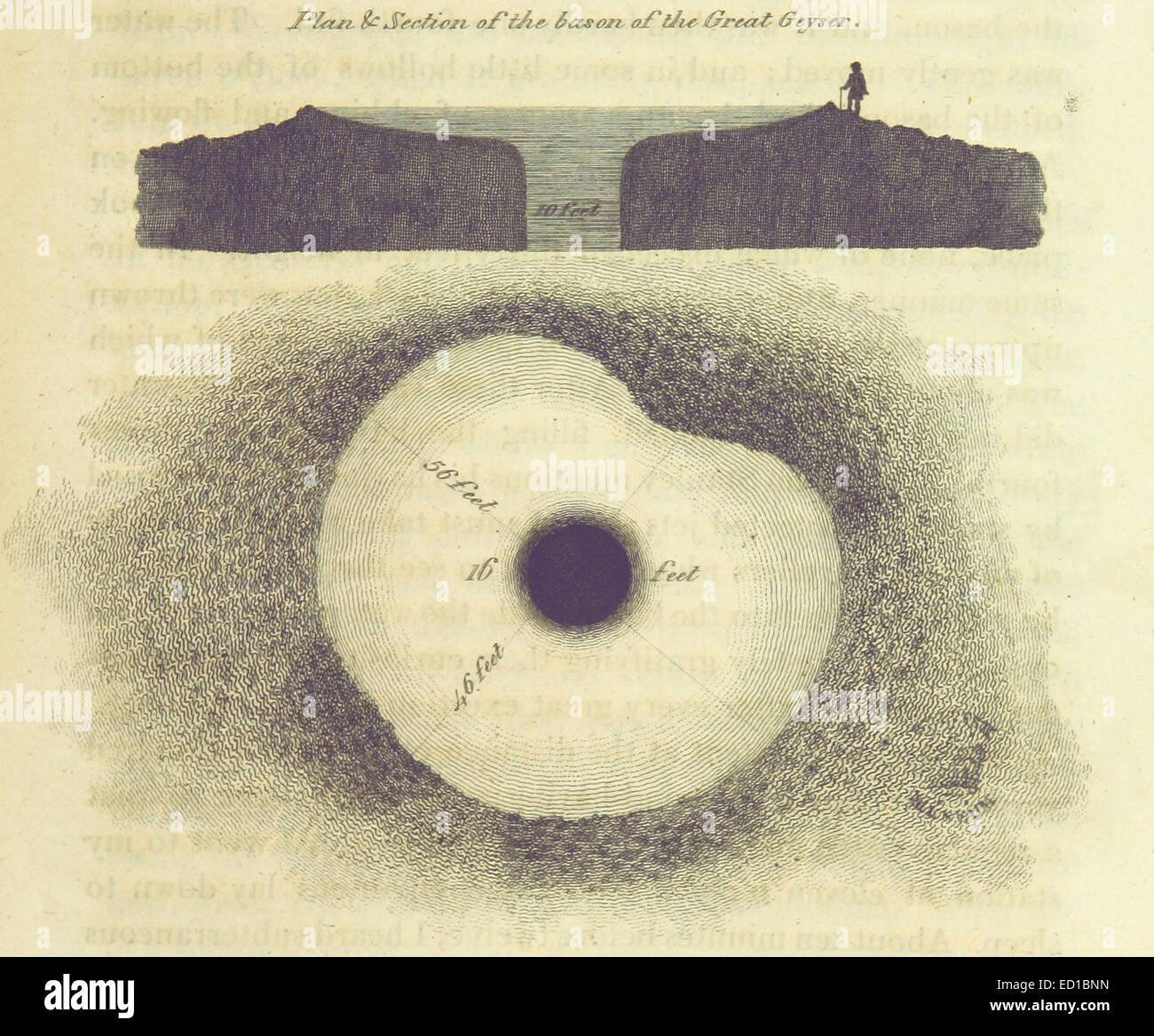 A detailed illustration showing the plan and section of the basin of ...