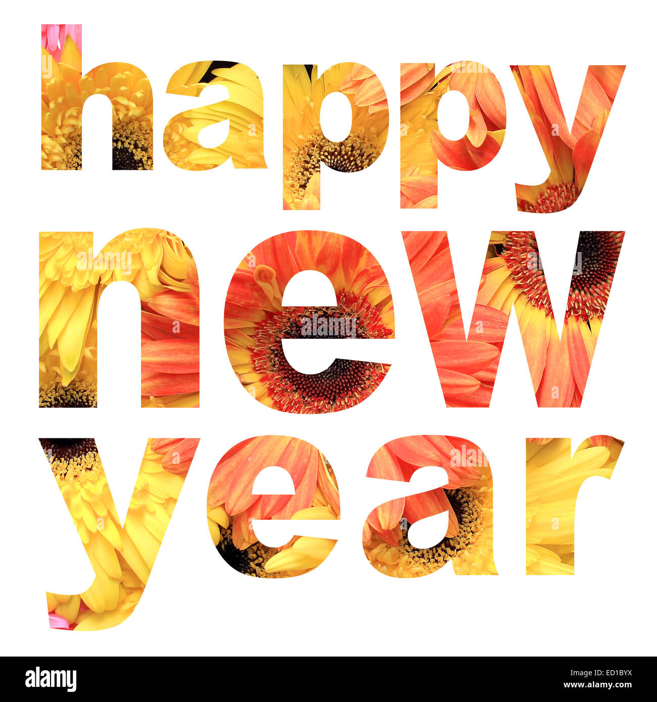 word happy new year made from gerbera or barberton daisy flower picture ...