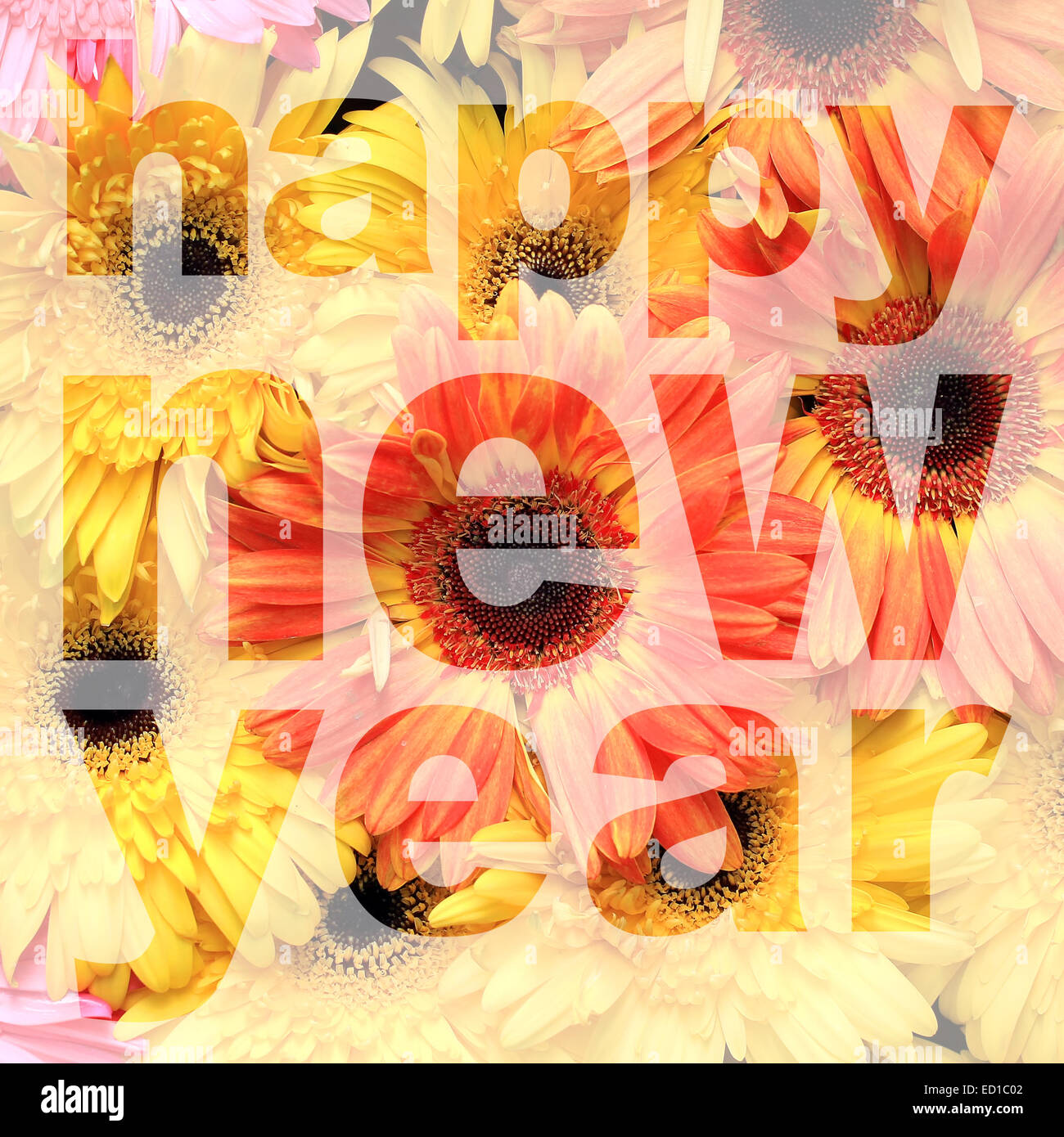 word happy new year made from gerbera or barberton daisy flower picture ...