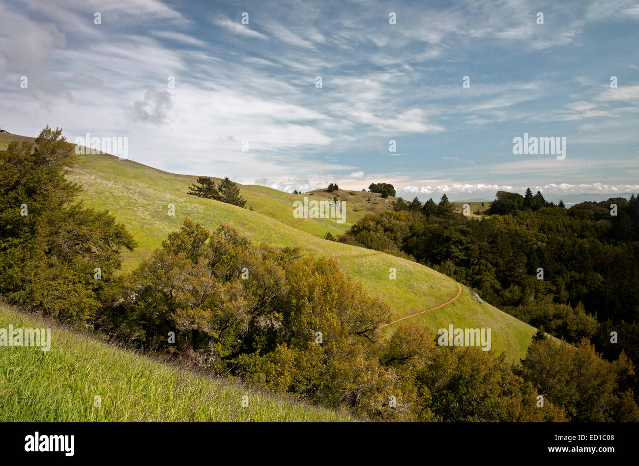 Matt davis mount tamalpais hi-res stock photography and images - Alamy