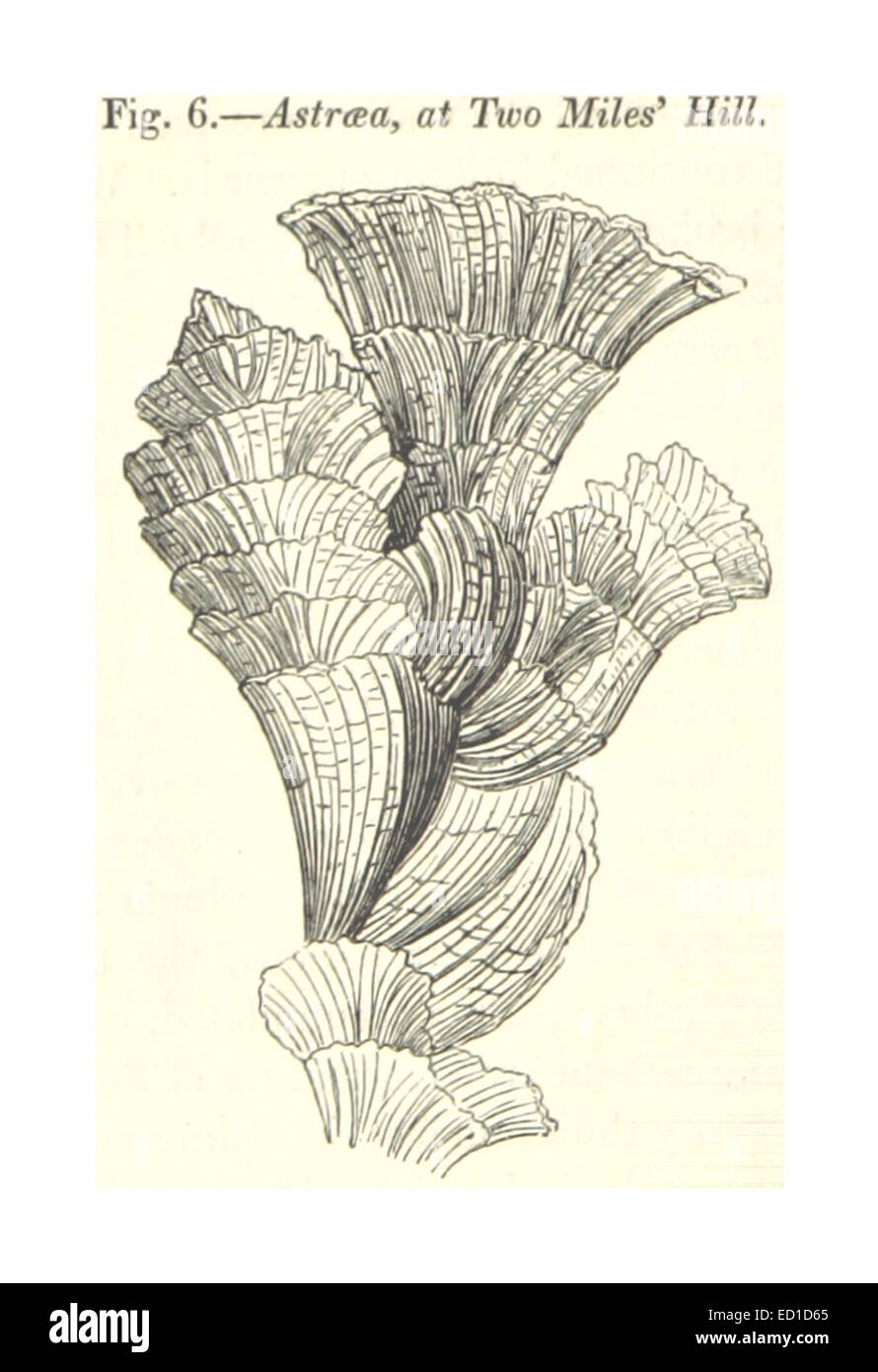 Two illustrations showing Cut Out Stock Images & Pictures - Alamy