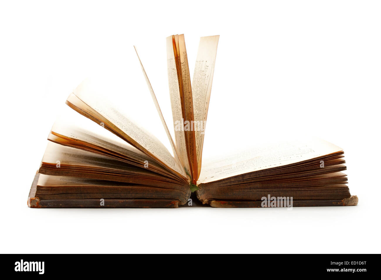 Square white hardcover book Cut Out Stock Images & Pictures - Alamy