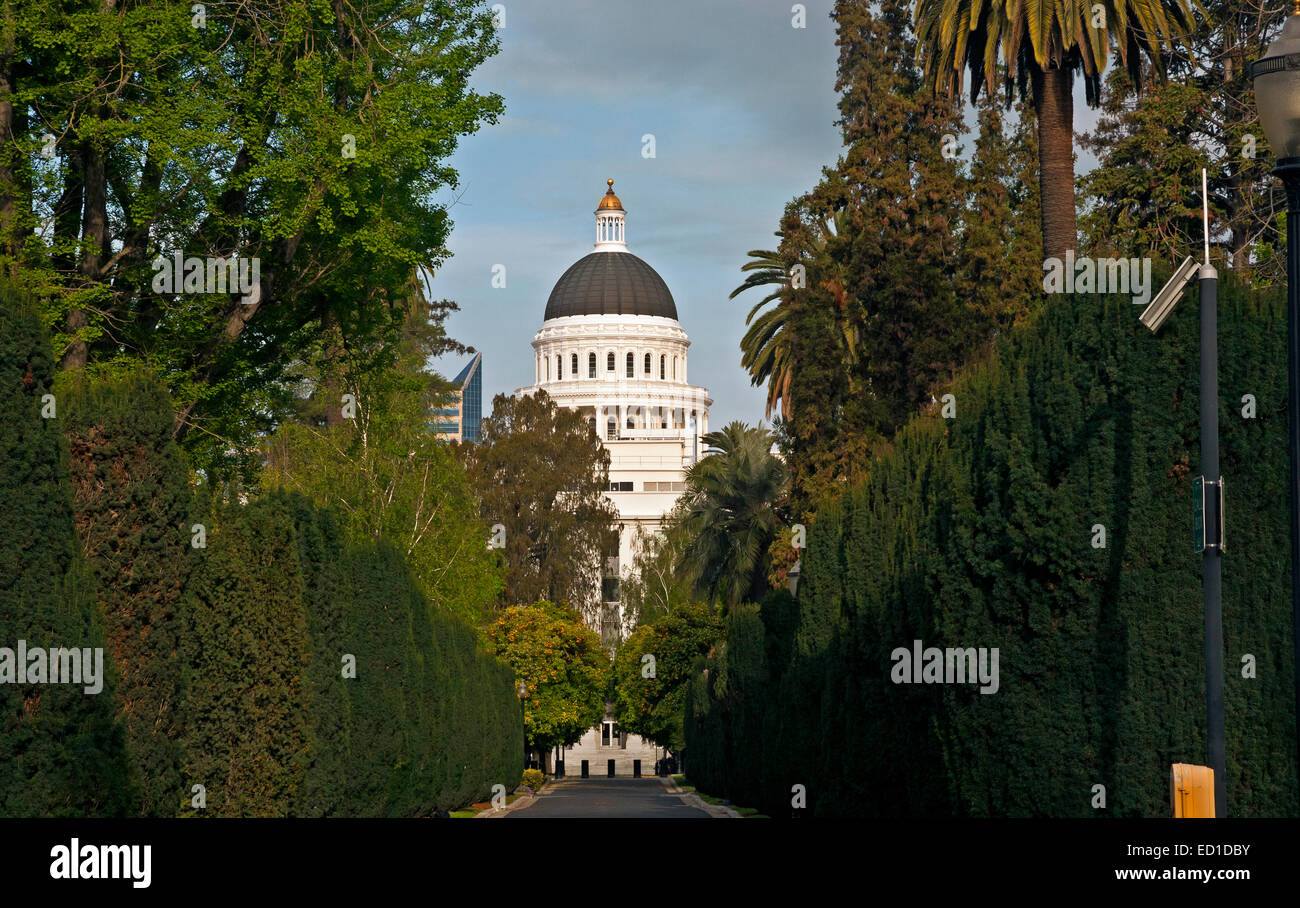 CA02607-00...CALIFORNIA - California State Capitol building in ...