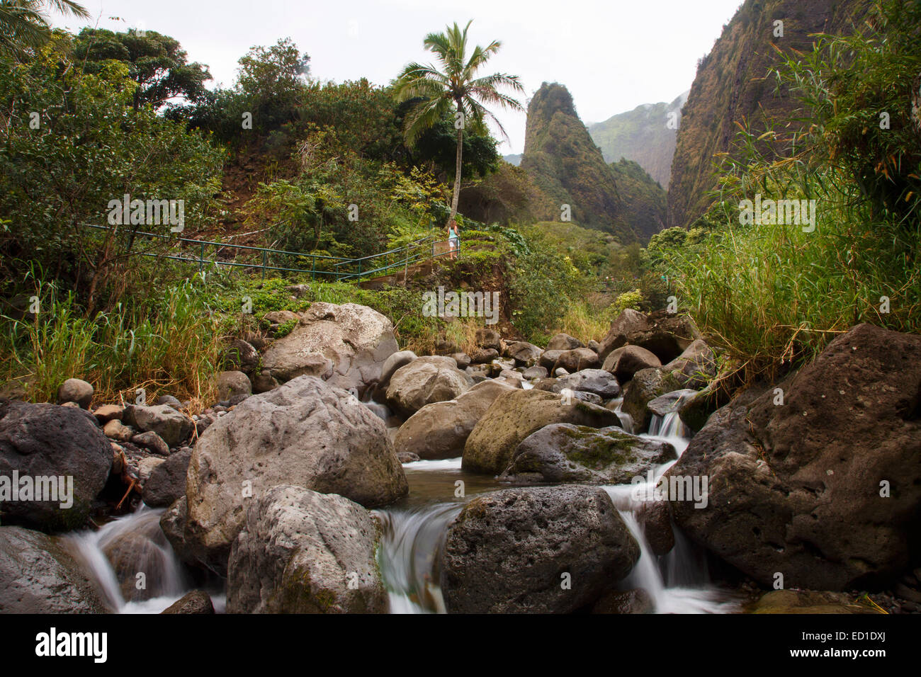 Iao needle hawaii High Resolution Stock Photography and Images - Alamy