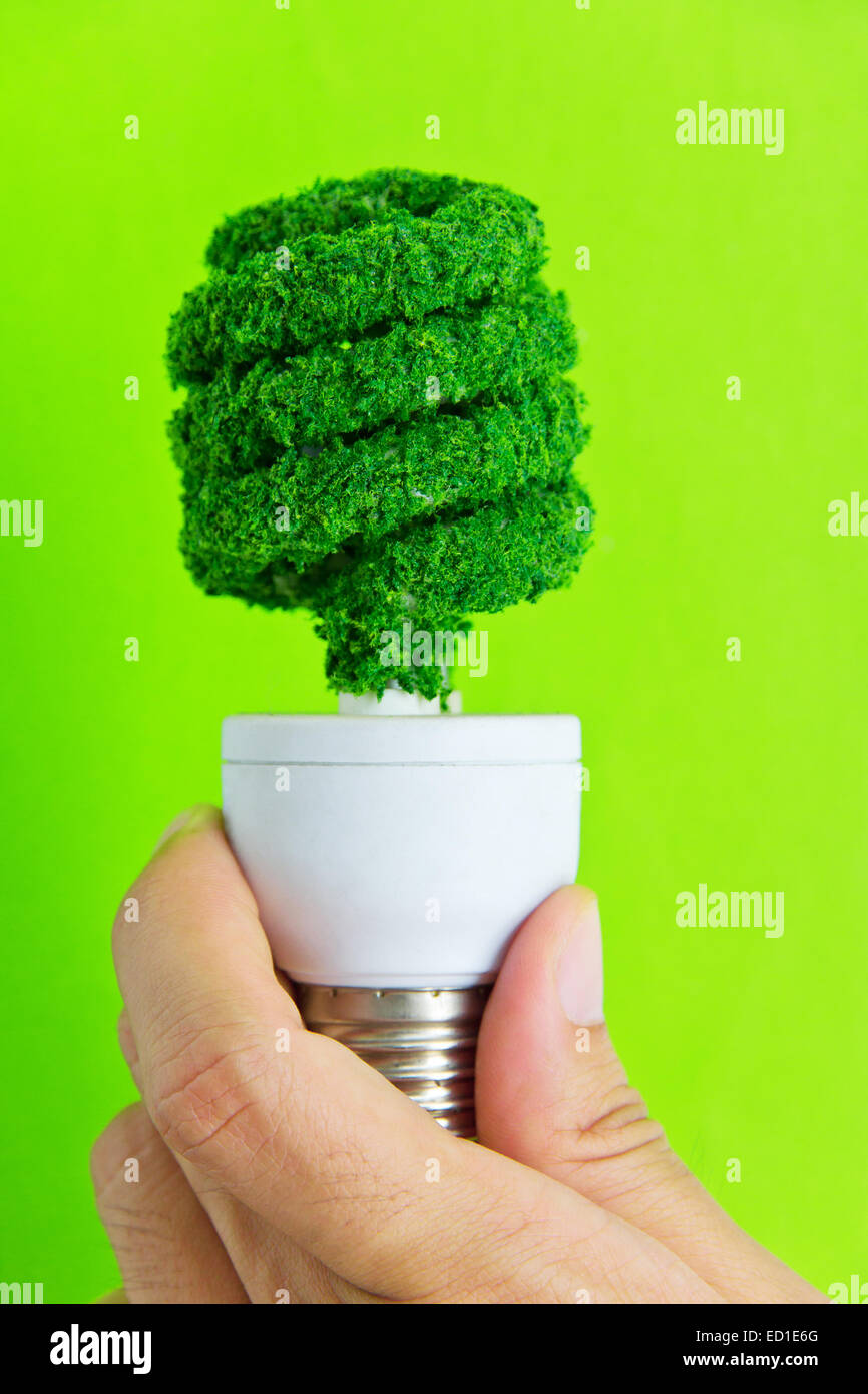 hand holding eco light bulb ,save energy concept Stock Photo - Alamy