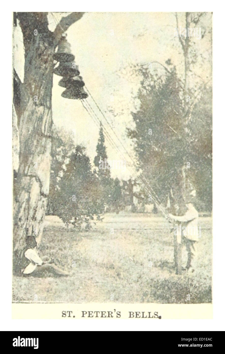 PMB 1898 St.Peters Bells Stock Photo - Alamy