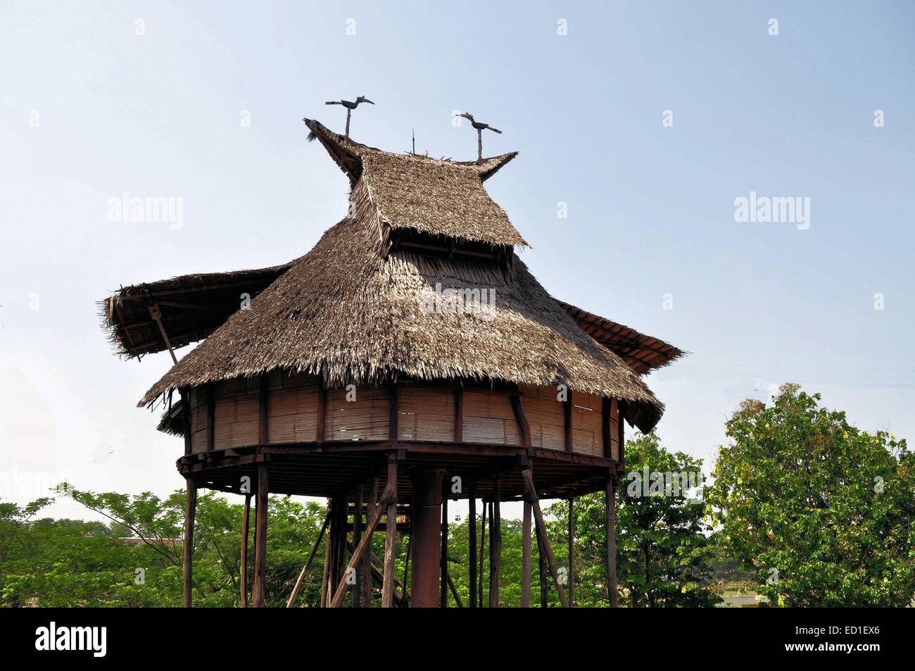 Traditional house on West Kalimantan, Indonesia Stock Photo - Alamy